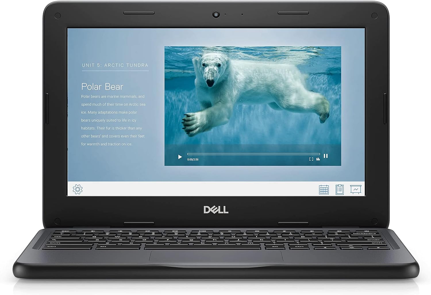 Dell - CNB Computers - Dell Chromebook 3100 - 11.6" - Intel Celeron ...